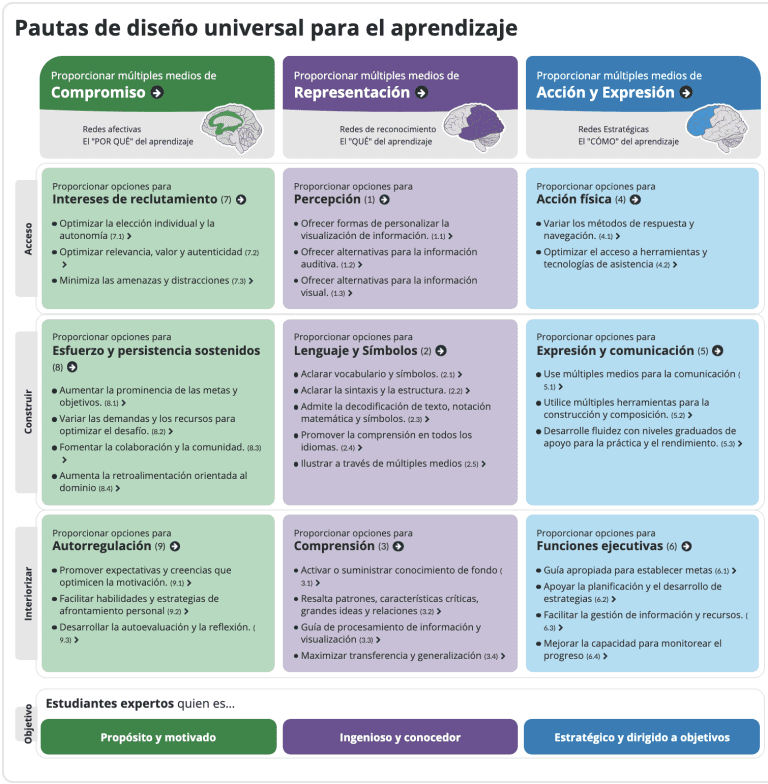 Principios DUA educación: qué es Diseño Universal de Aprendizaje