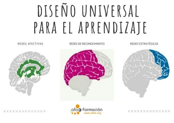 Principios DUA educación: qué es Diseño Universal de Aprendizaje